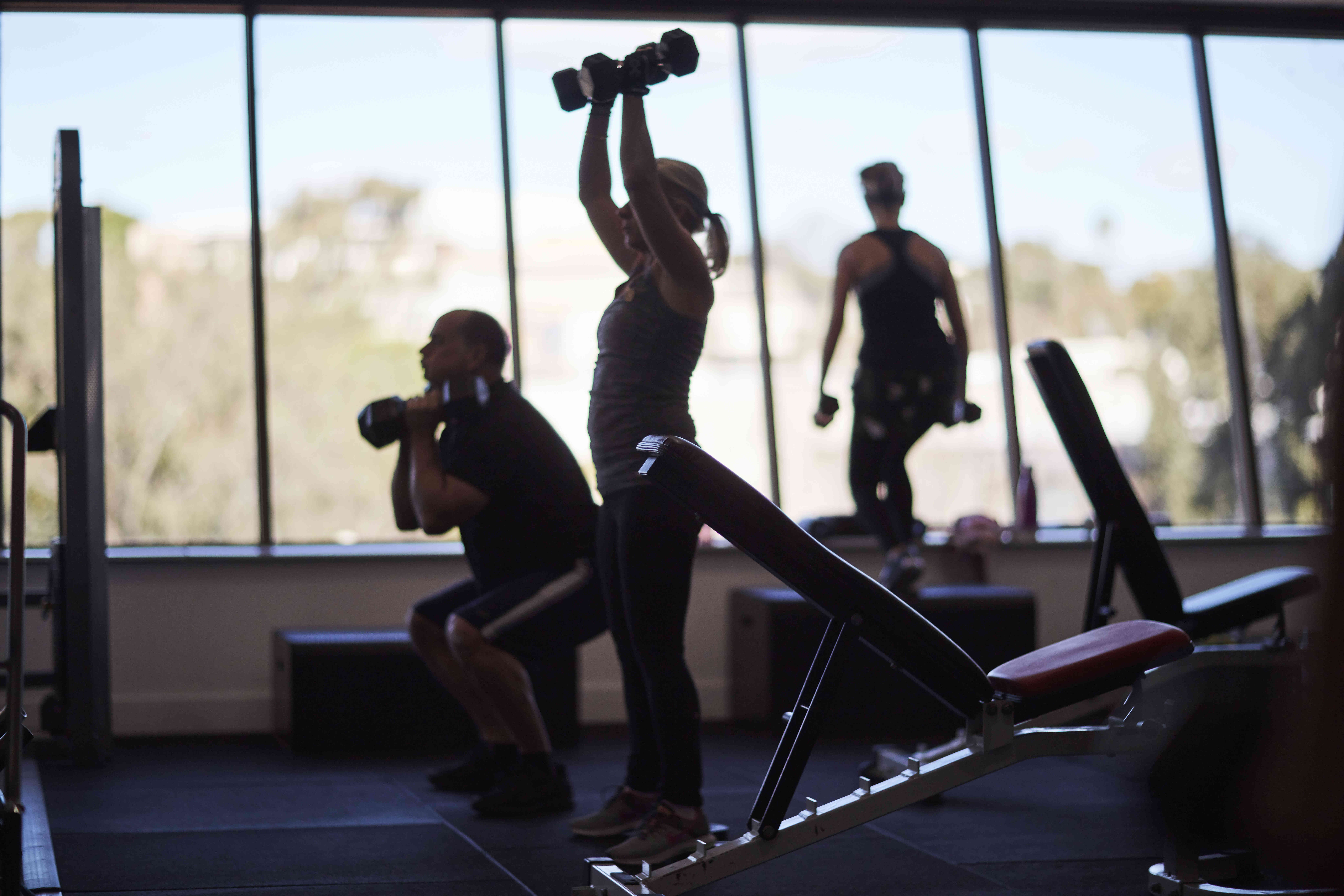 Guide to Using Gym Equipment Safely and Efficiently for New Gym-Goers ...