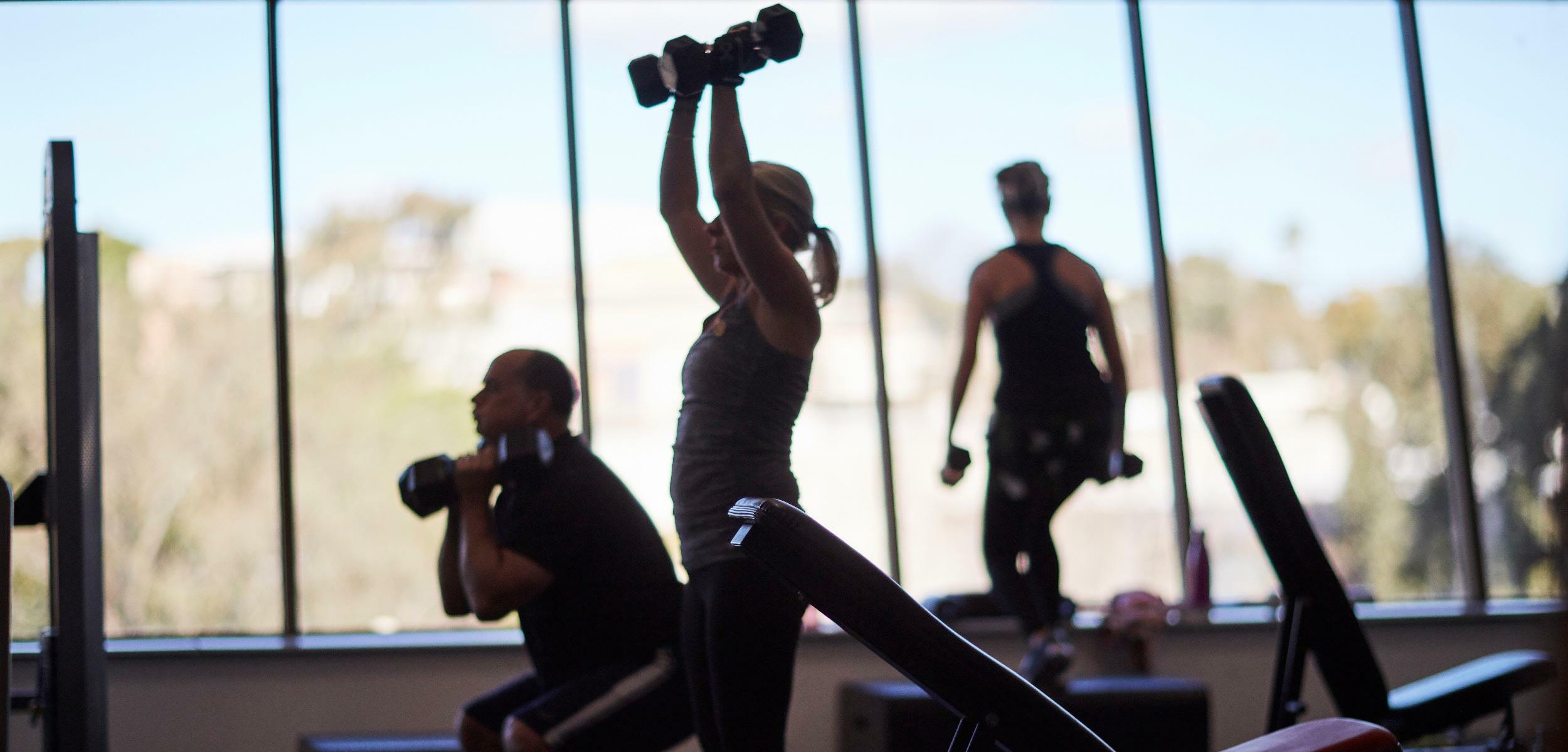 Privacy | Vision Personal Training